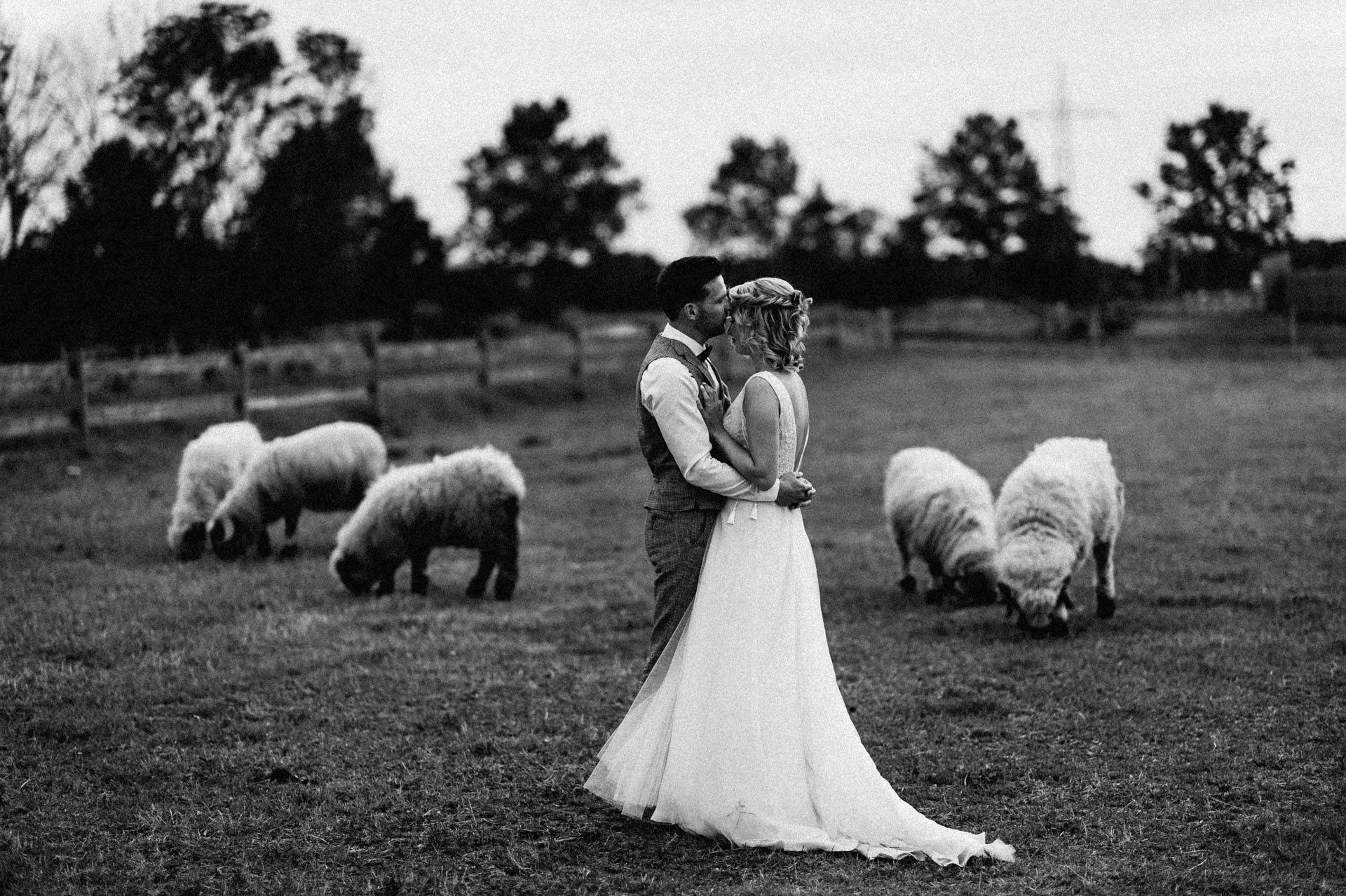 Sara & Alex — Hochzeitsfotograf Sam Rey - mit Leib und Seele